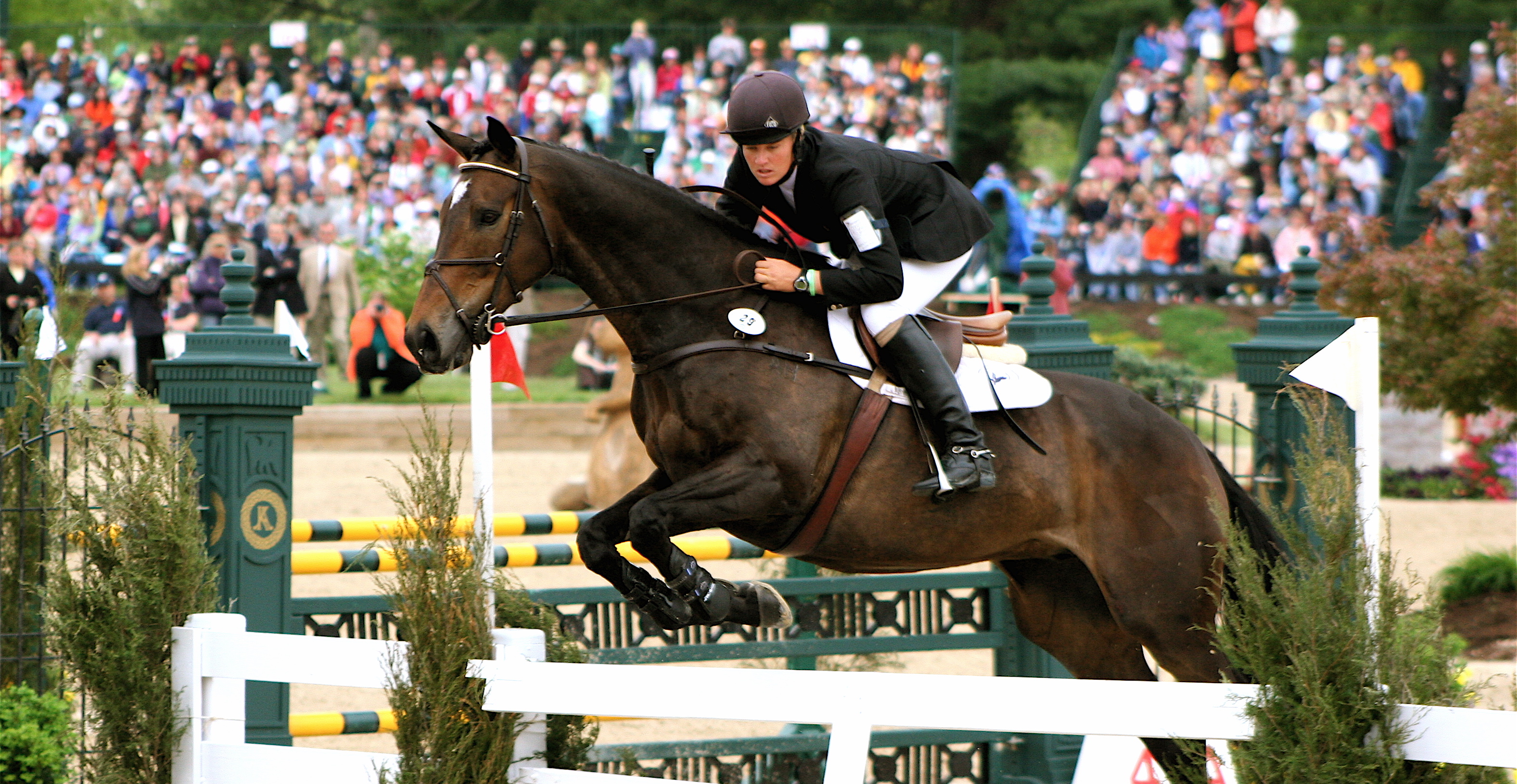La course à obstacles rattachée à la Fédération Française d’Équitation ...